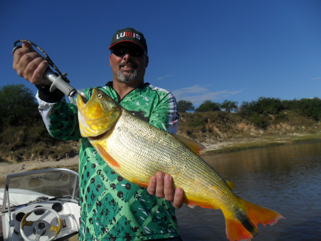 Pesca do Dourado - Dicas , técnicas e informações
