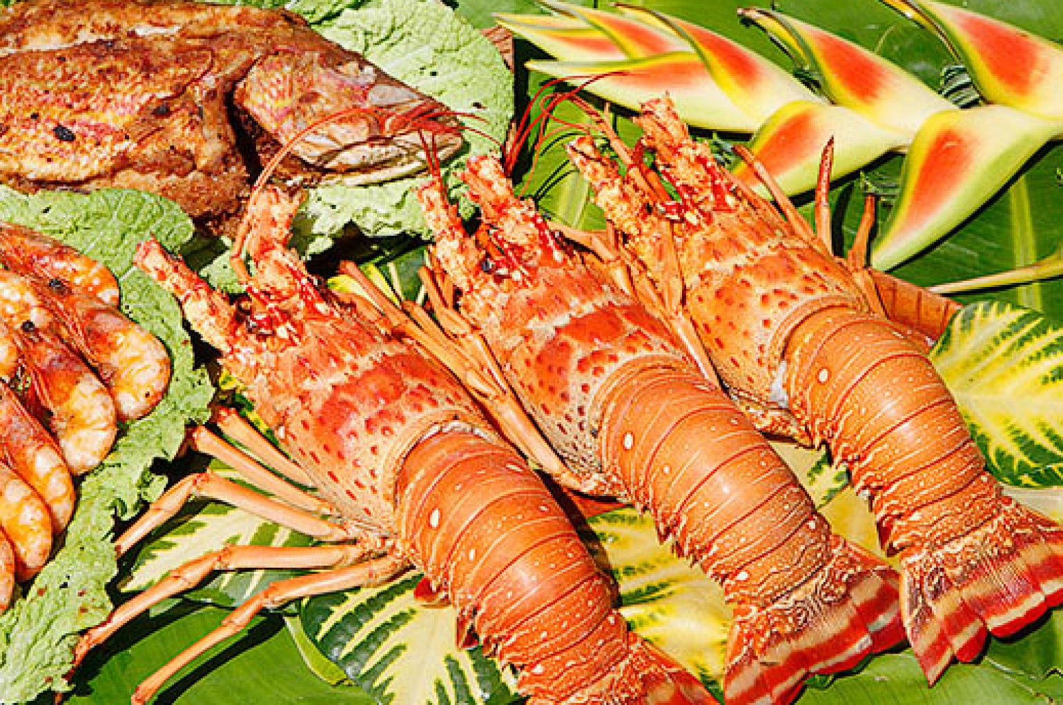 receita lagosta alho óleo Archives - Pesca na Praia