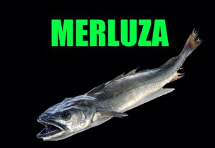 Merluza - Dicas e curiosidades sobre este peixe