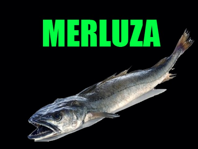 Merluza - Dicas e curiosidades sobre este peixe