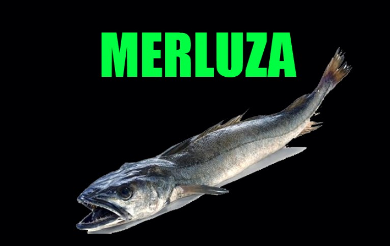 Sororoca - Dicas e técnicas sobre a pesca deste peixe