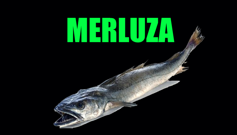 Merluza - Dicas e curiosidades sobre este peixe